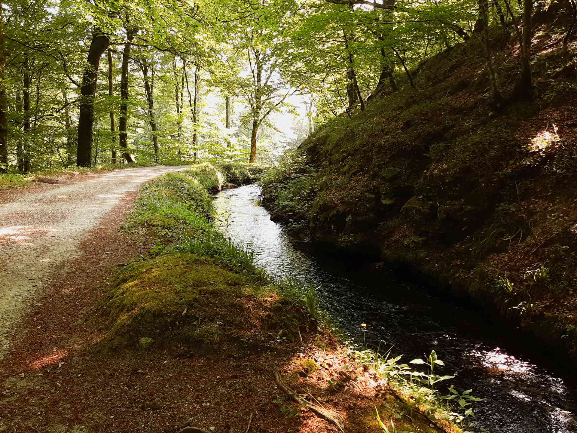 Aux sources du Canal du Midi - Les Chemins de Colin